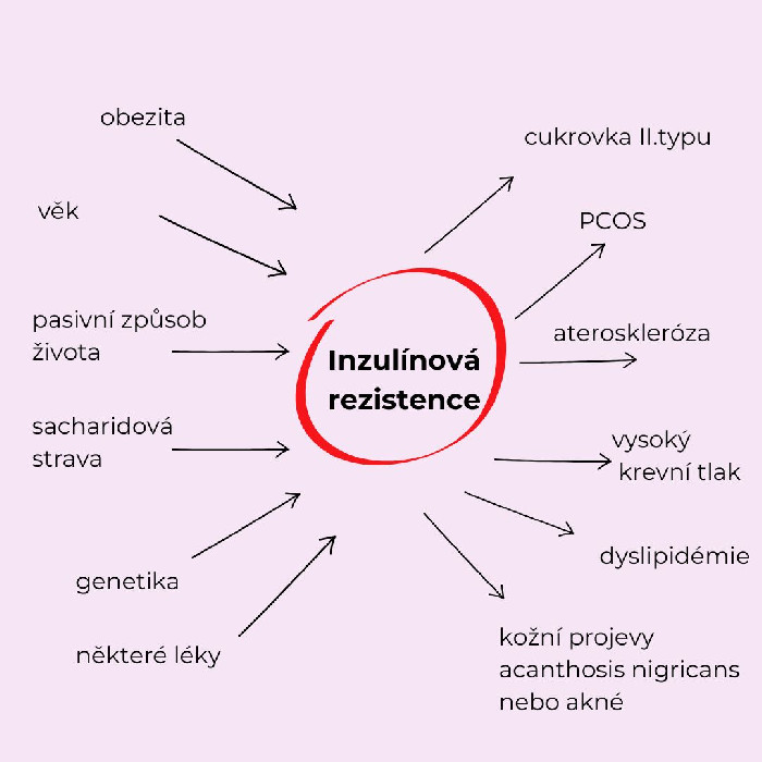 Inzulínová rezistence